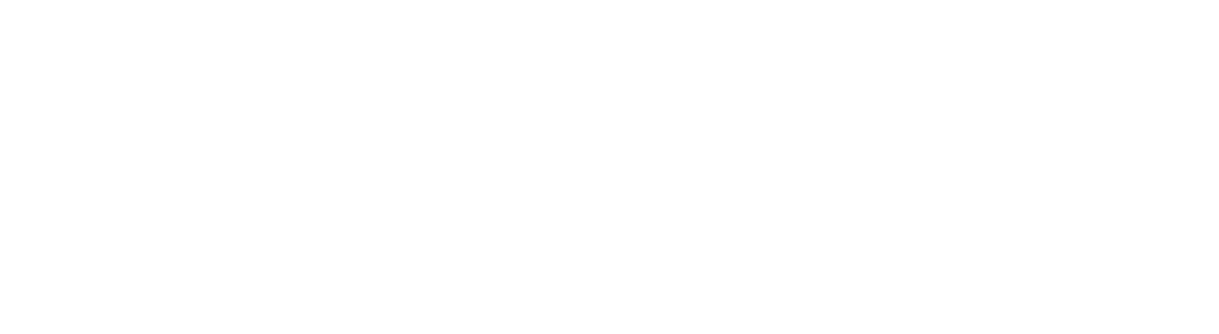 Sofía Ayala – Director | Scriptwriter | Editor