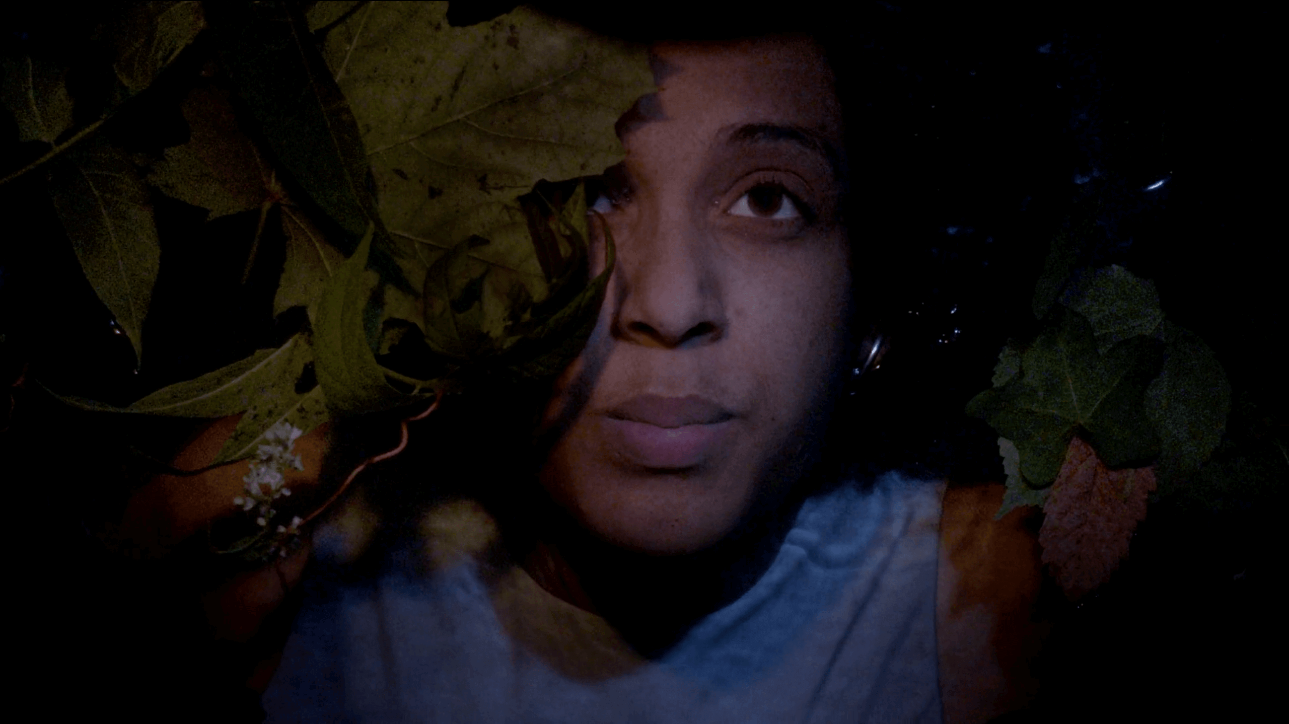 Curvas Peligrosas – Sofía Ayala